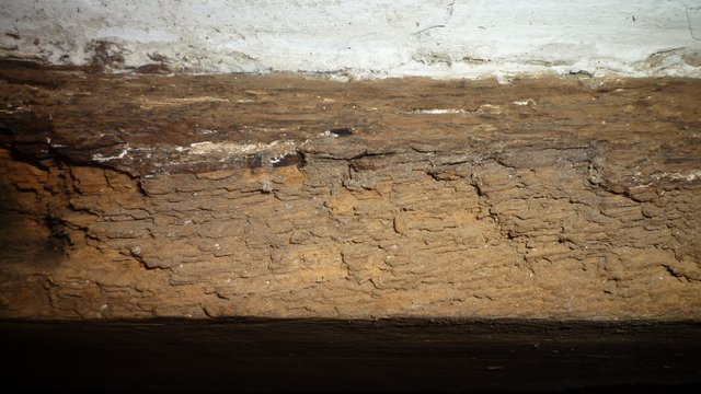 Treating crumbling old oak beams | Period Property UK