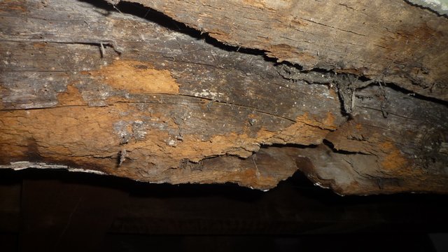 Treating crumbling old oak beams | Period Property UK