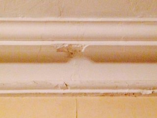 coving repair | Period Property UK