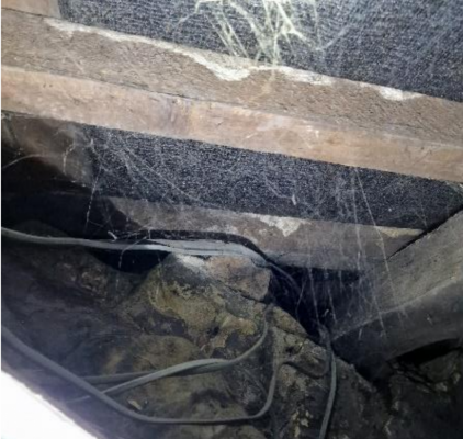 Possible dry rot to roof timbers... or wet? | Period Property UK