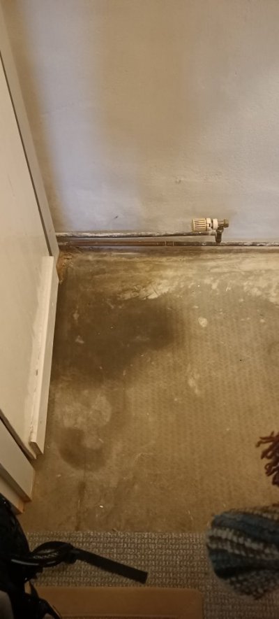 Damp patch concrete floor | Period Property UK