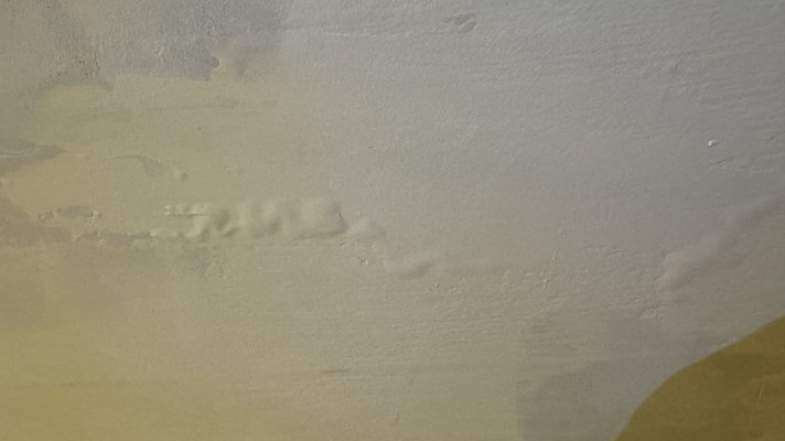 What's causing this? Distemper? | Period Property UK