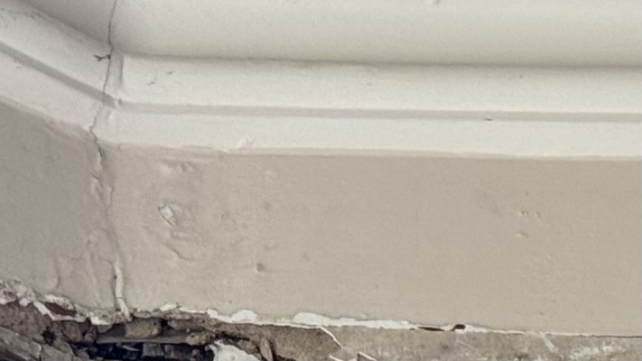 Damp above bay window | Period Property UK